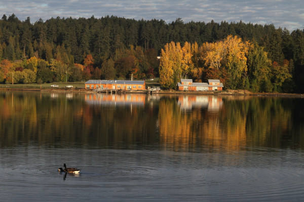 Living In Colwood, BC
