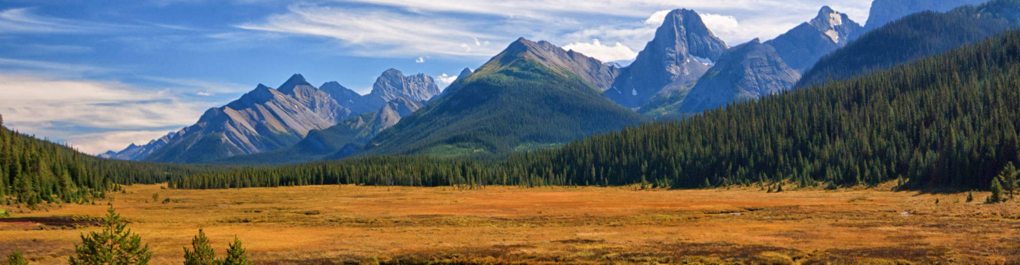 Cities In Alberta & Interactive Map