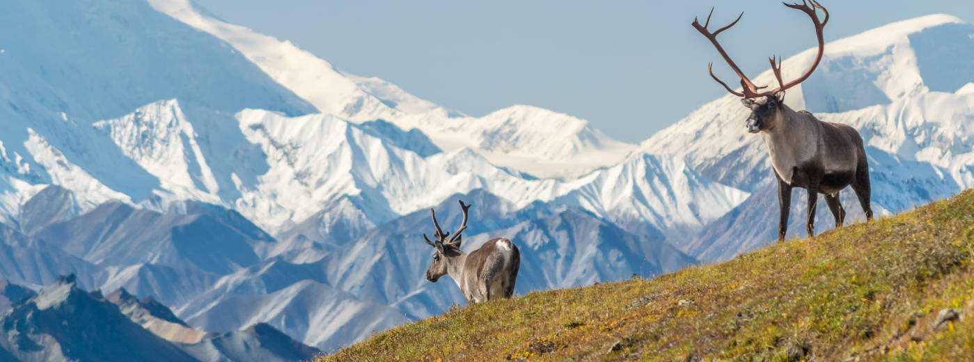 Cities In Alaska & Interactive Map