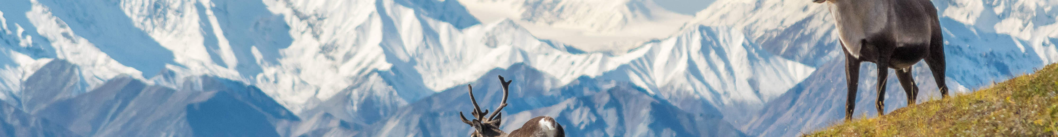 Cities In Alaska & Interactive Map