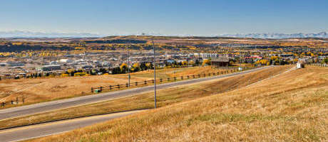Cochrane, Alberta Population & Demographics