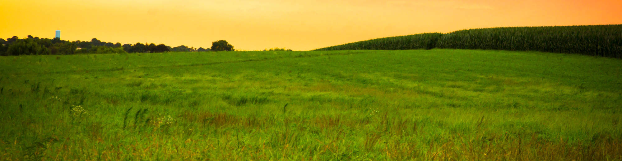 Cities In Pennsylvania & Interactive Map