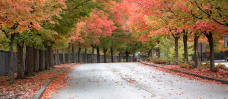 Renton, WA Weather - Forecast & Monthly Averages