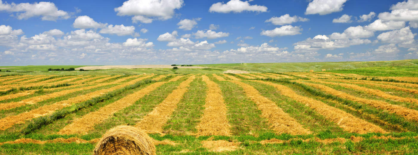 Cities In Saskatchewan & Interactive Map