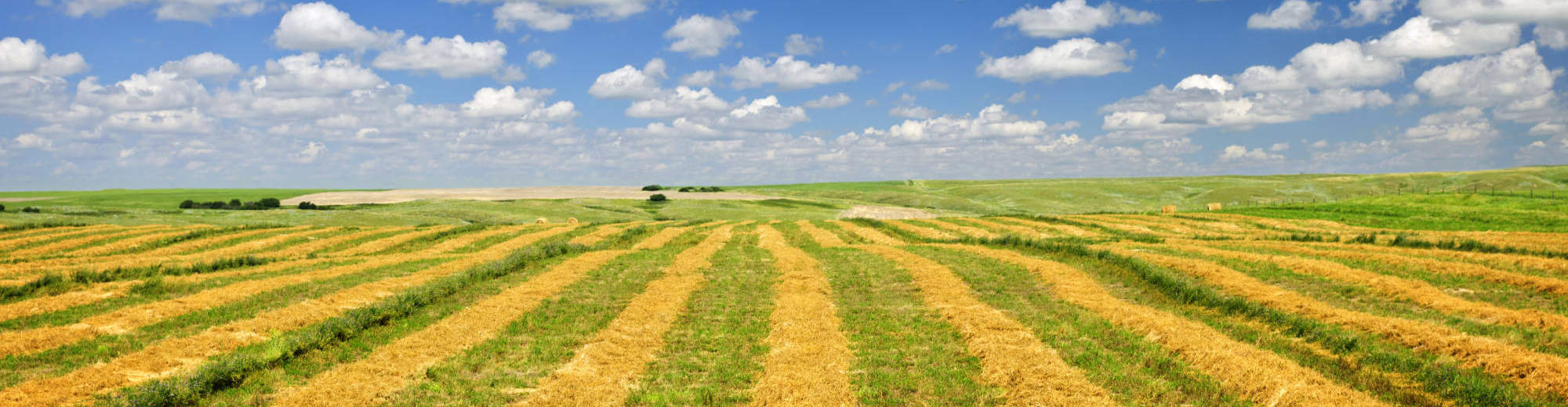 Cities In Saskatchewan & Interactive Map