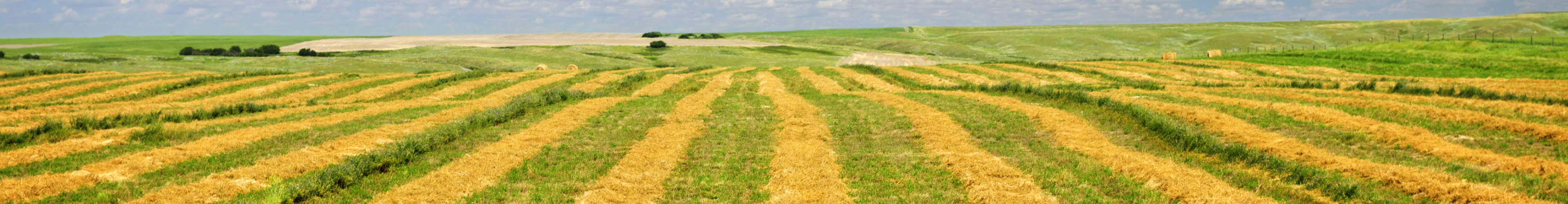 Cities In Saskatchewan & Interactive Map